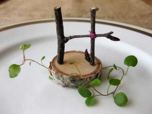Rustic Birch Crafts That Are Easy To Make - Rustic Crafts & DIY