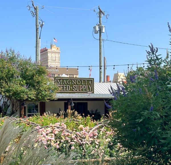 My Visit to Magnolia Market at the Silos and What You Can Expect ...